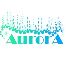 Aurora Workshops | Shopier
