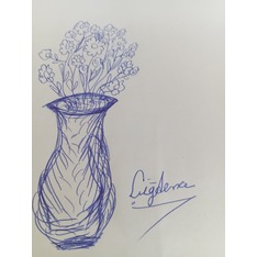 Peyzaj ve süs bitkisi | Shopier