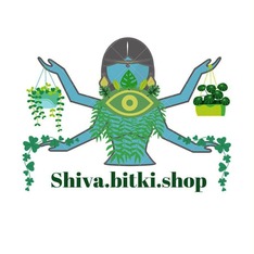 Shivabitkishop | Shopier
