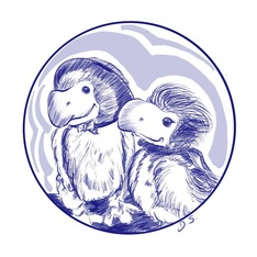 Seda ve Doğukanın Minik İşletmesine Hoşgeldiniz | Shopier