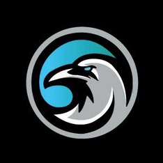 Hawk And Stickers Official Store | Shopier