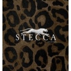 stecca | Shopier