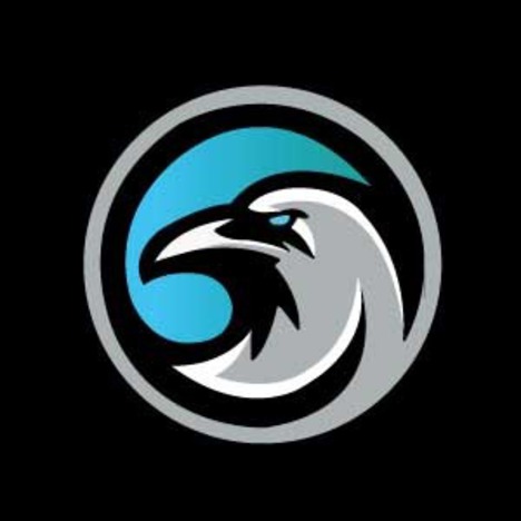 Hawk And Stickers Official Store | Shopier