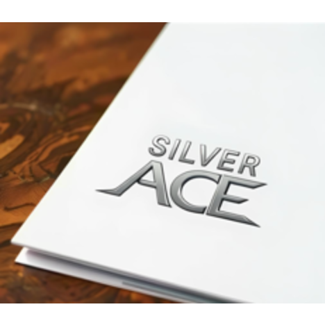 SilverACE | Shopier