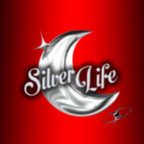 Silver Life Takı ve Piercing | Shopier