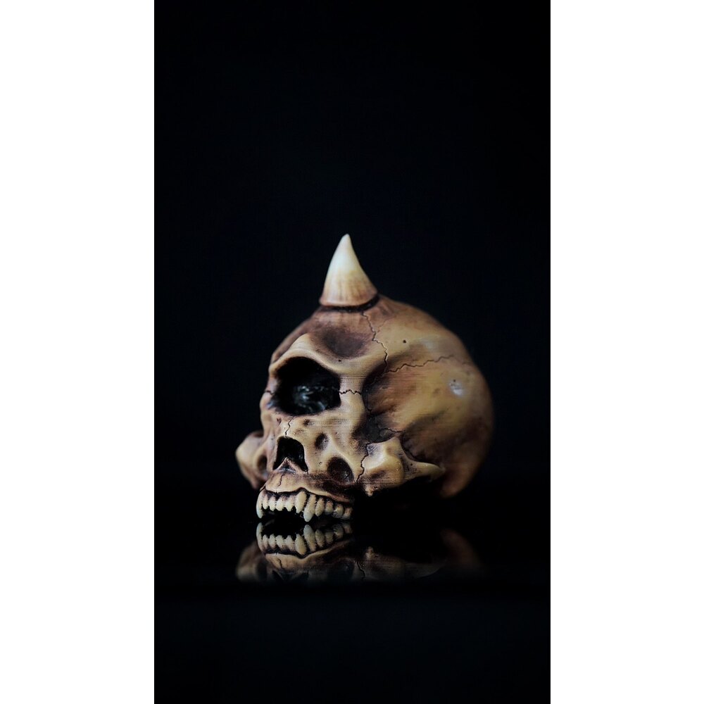 Cyclops | BEST SKULL