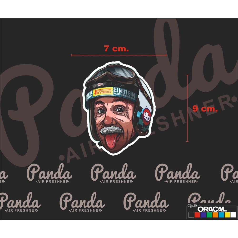 Einstein-3 Sticker | Panda Air Freshner