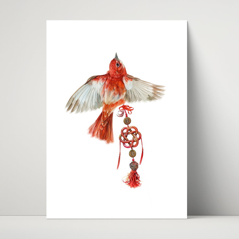 Wings to Eternal Luck | DENİZ AŞIK