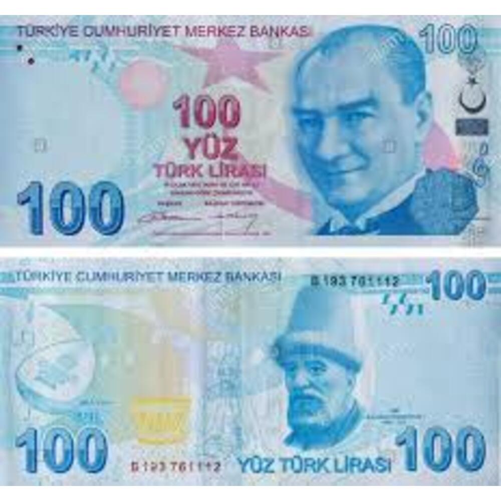100 TL Banknot | ioanarya