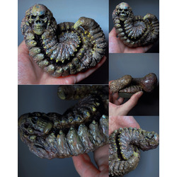Death Headed Centipede - Natural | Dreammade