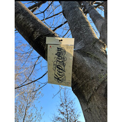 2 AY KALICI ORTABOY TATTOO | Blackcadde