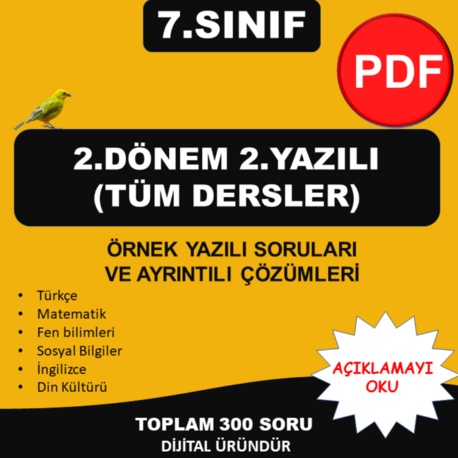7.Sınıf 2.dönem 2.Yazılı Seti (PDF) | Egitimsizolmazmagaza