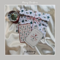 Merry Christmas Package | bymerrycollection