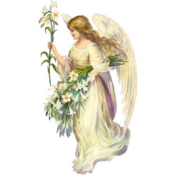 ANGEL -24 14X25 CM | CMYK COLLECTION