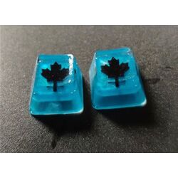 Rainbow 6 Siege Black İce Keycaps | Gds