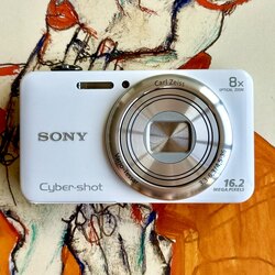 Sony Cybershot DSC WX60 | Soho camera