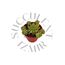 Sedum Hirsutum | Succulent MARKETİM