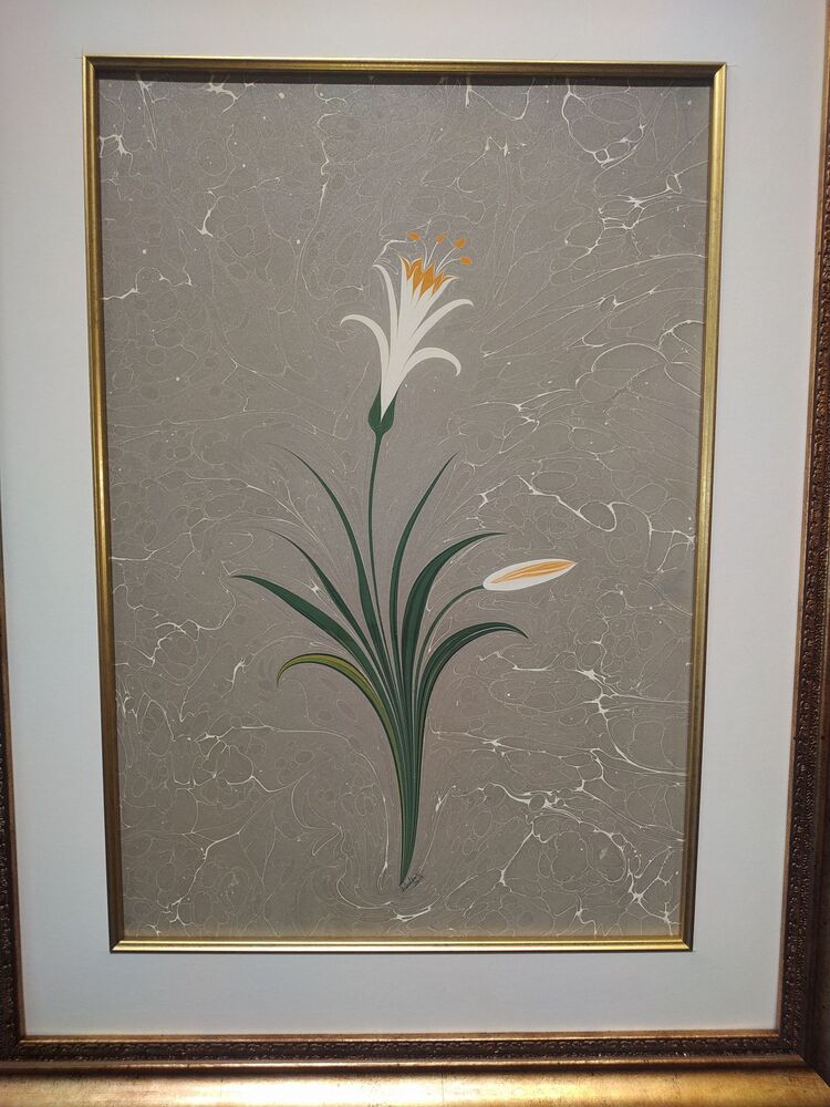 Firdevs Çalkanoglu | MK sanat galerisi